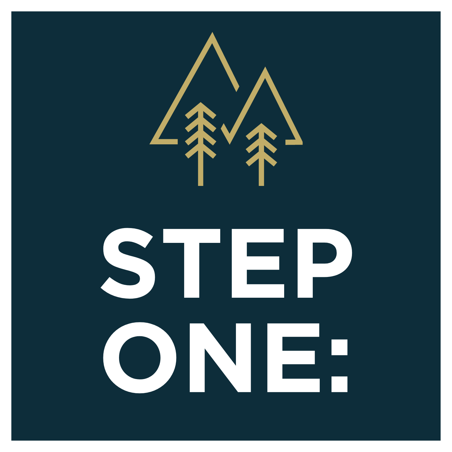 Application Process - Summit School